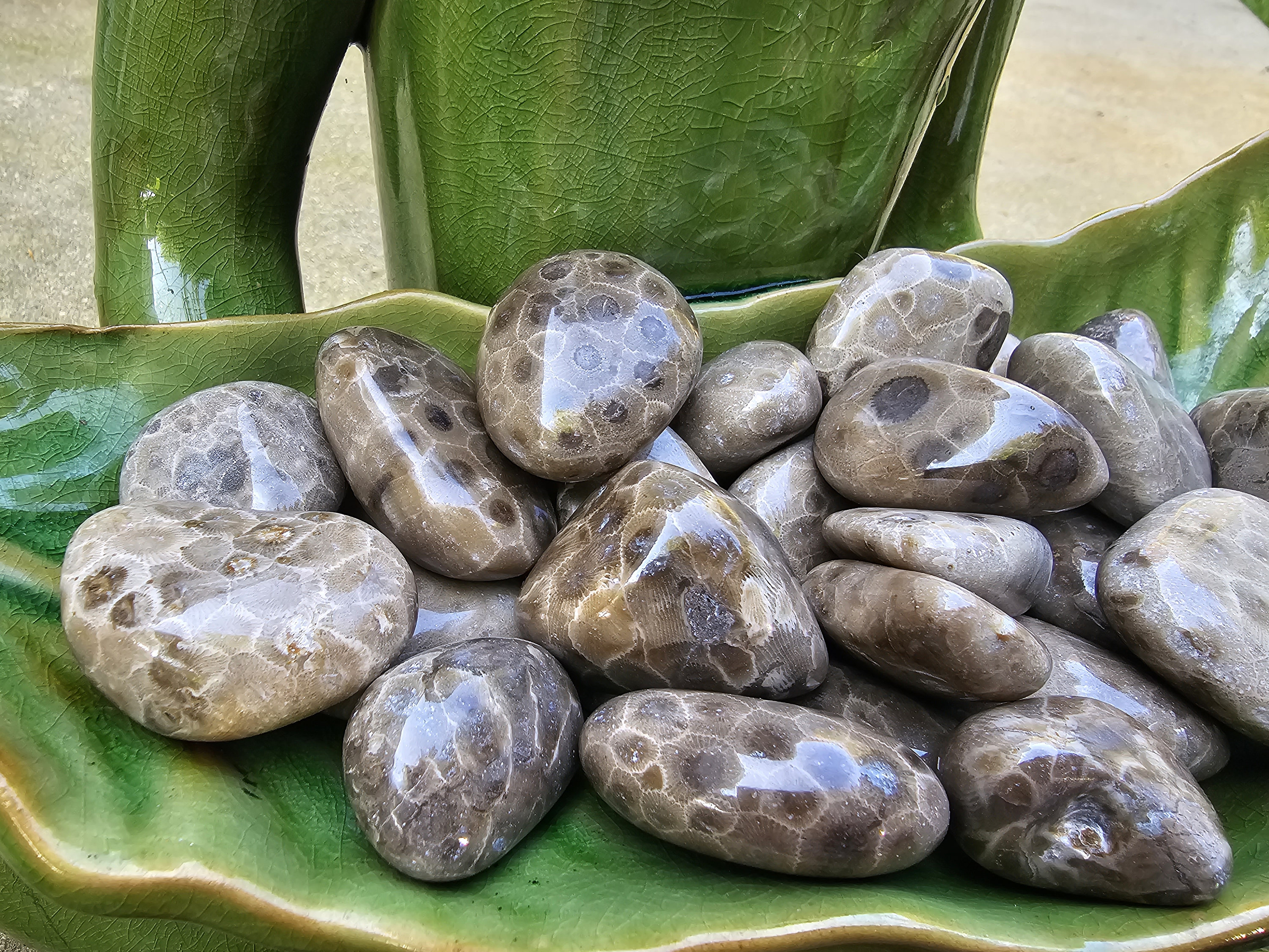 Polished Petoskey Stone: Golf Ball Size, Velvet Bag - Etsy