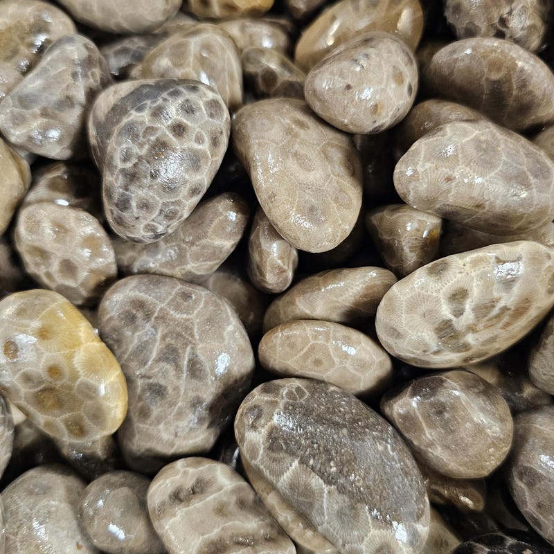 Small Natural Stones Bulk - Etsy