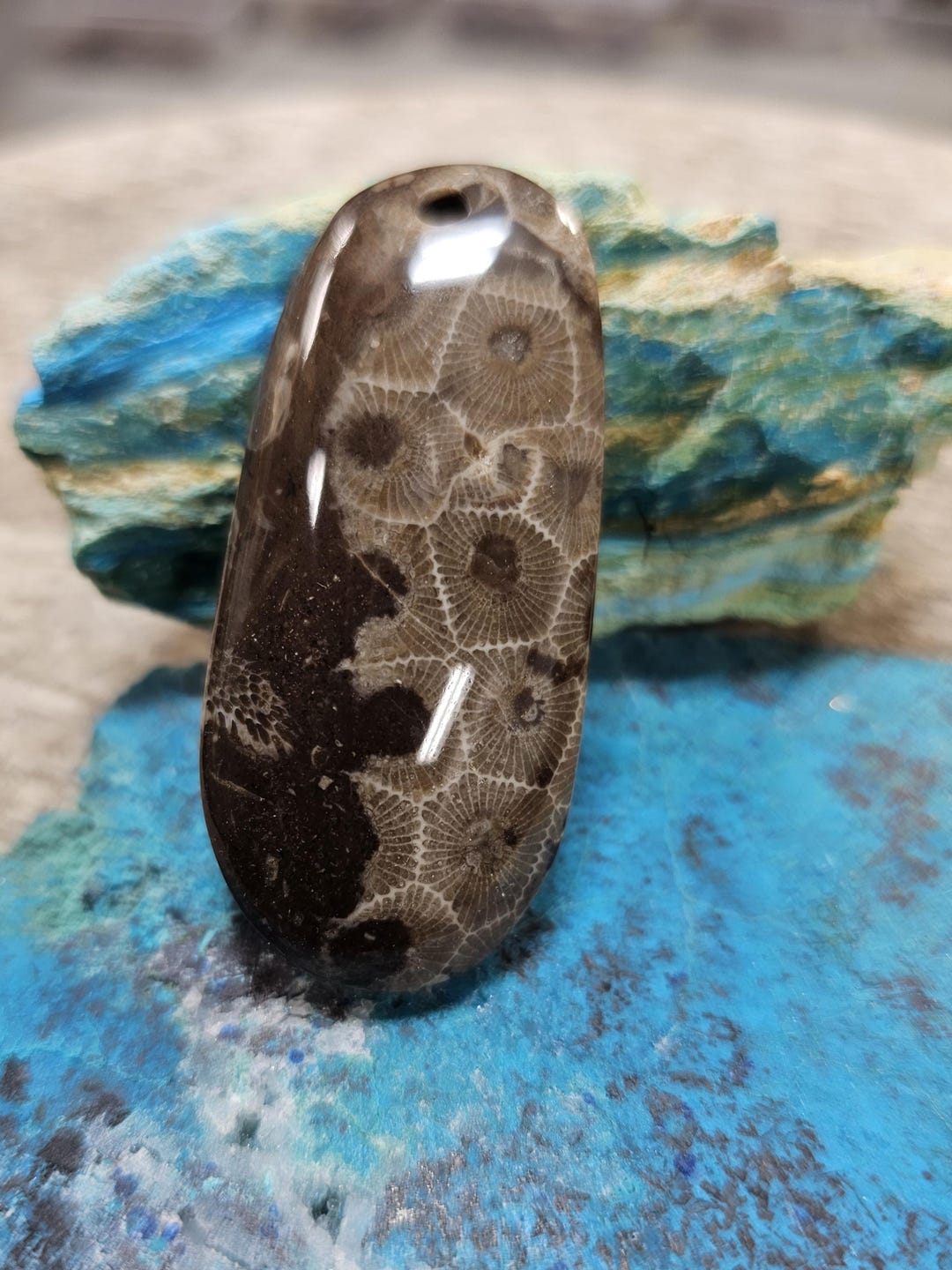 Heavy Pull Chain Polished Petoskey, Long Shape, and Very Detailed ...