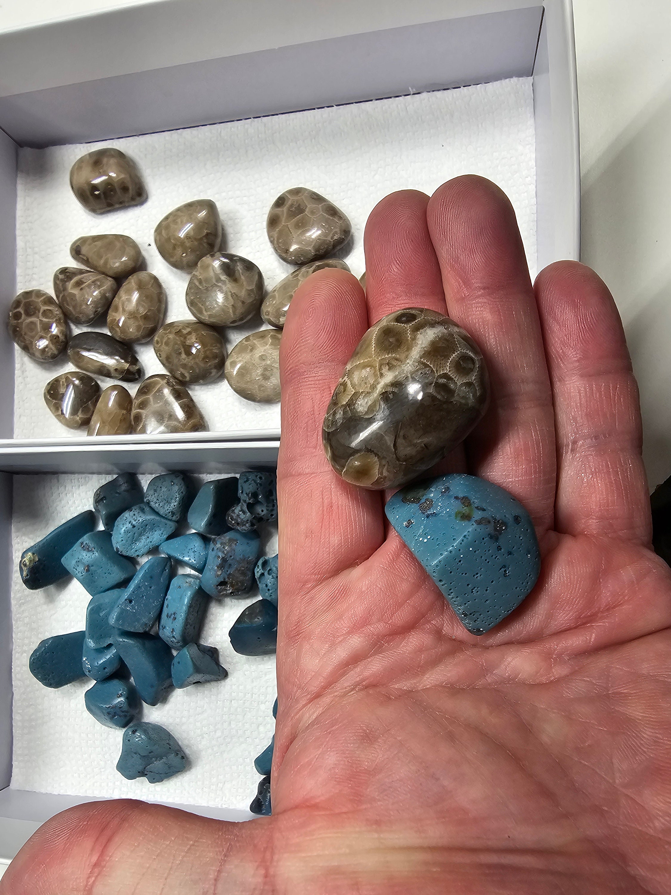 Petoskey/leland Blue Combo. - Etsy