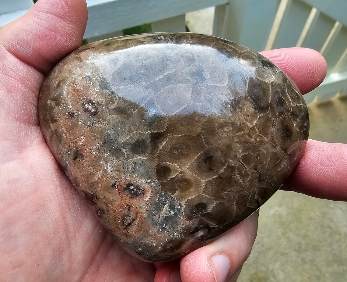 Wow Just Wow Petoskey With Tons of Pink. Big Stone, Super Nice Pattern ...