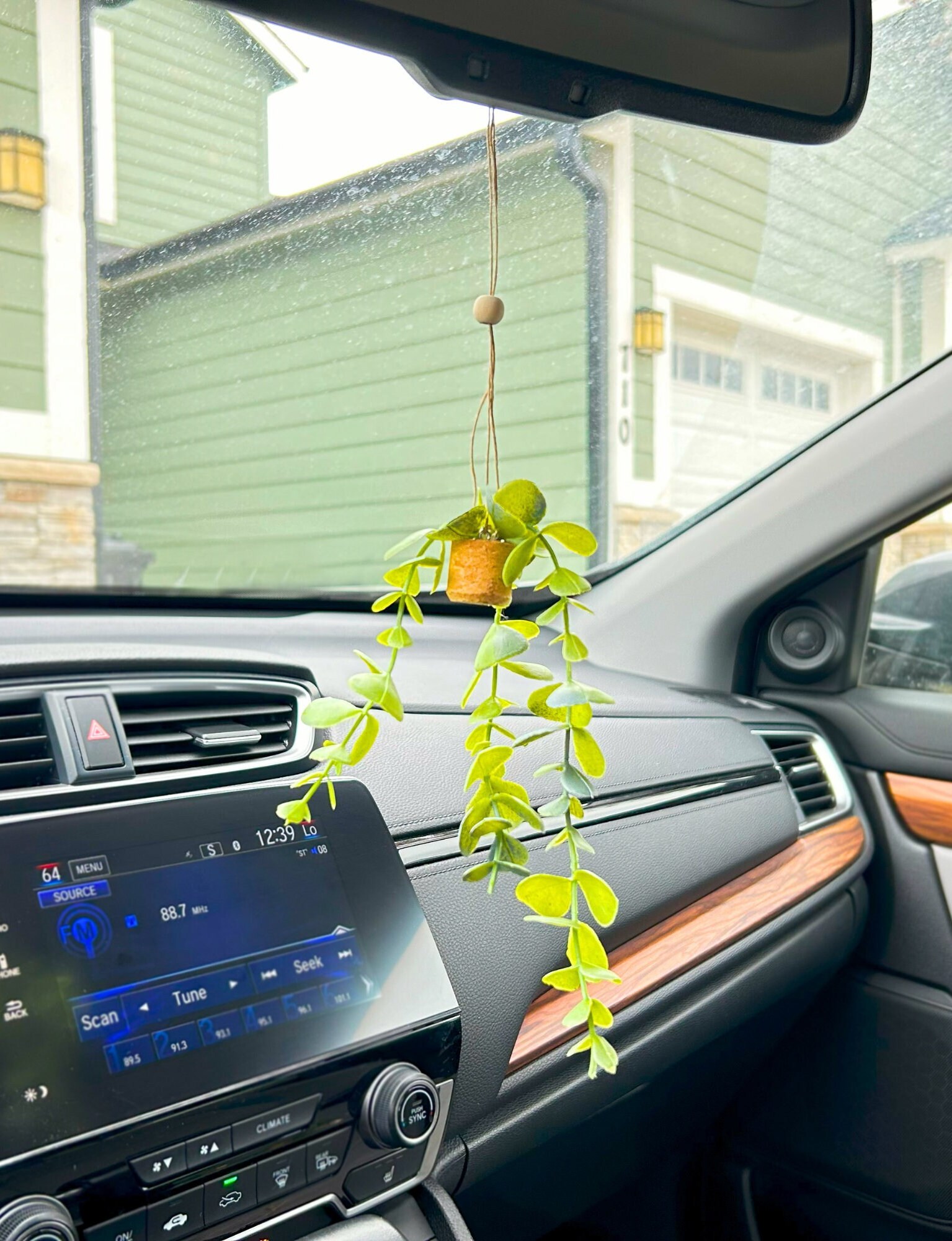 Car Plant Air Freshener, Car Hanging Air Freshener, Hanging Car Air ...