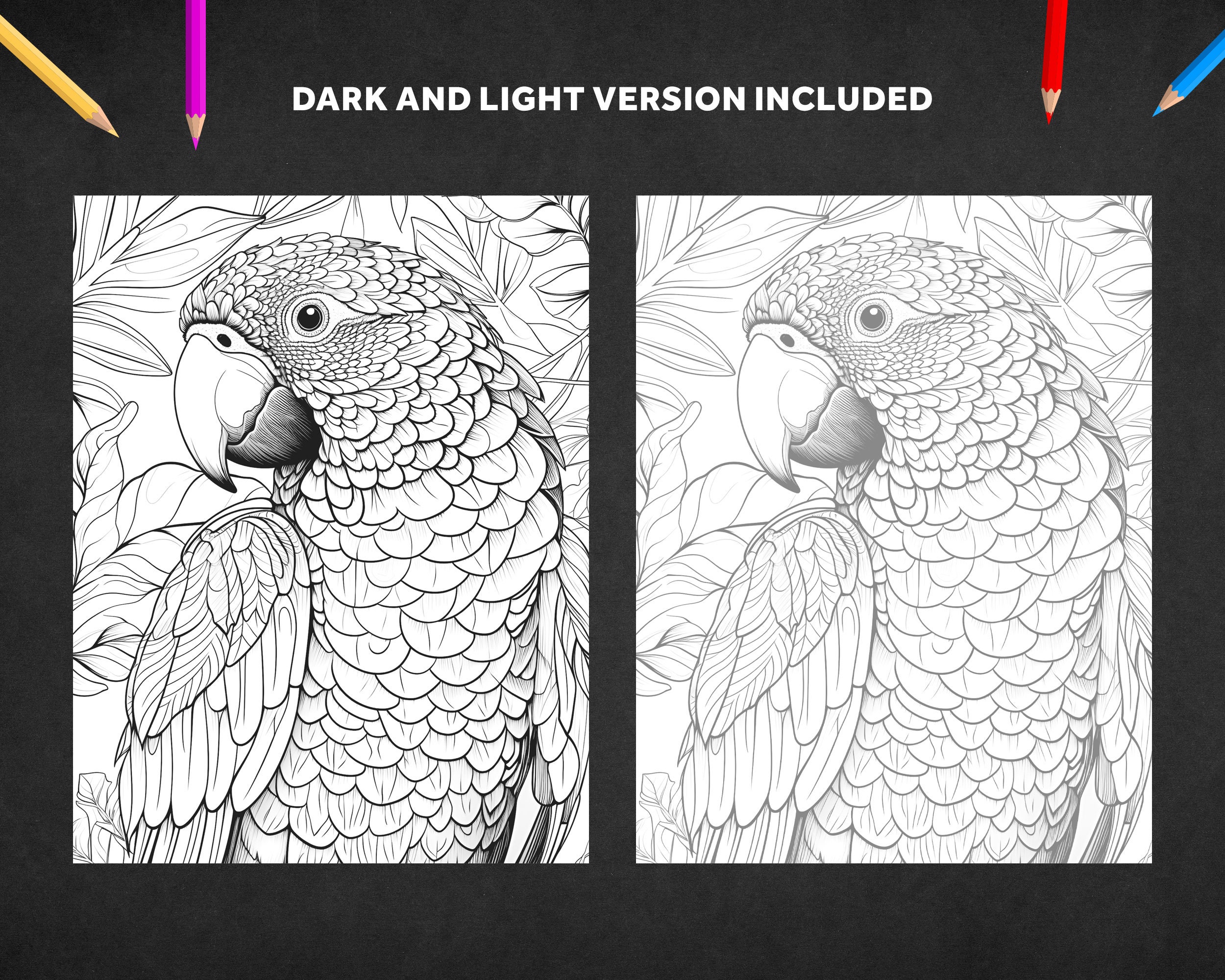 25 Coloring Pages Parrots, Printable Coloring Book, Vibrant Birds ...