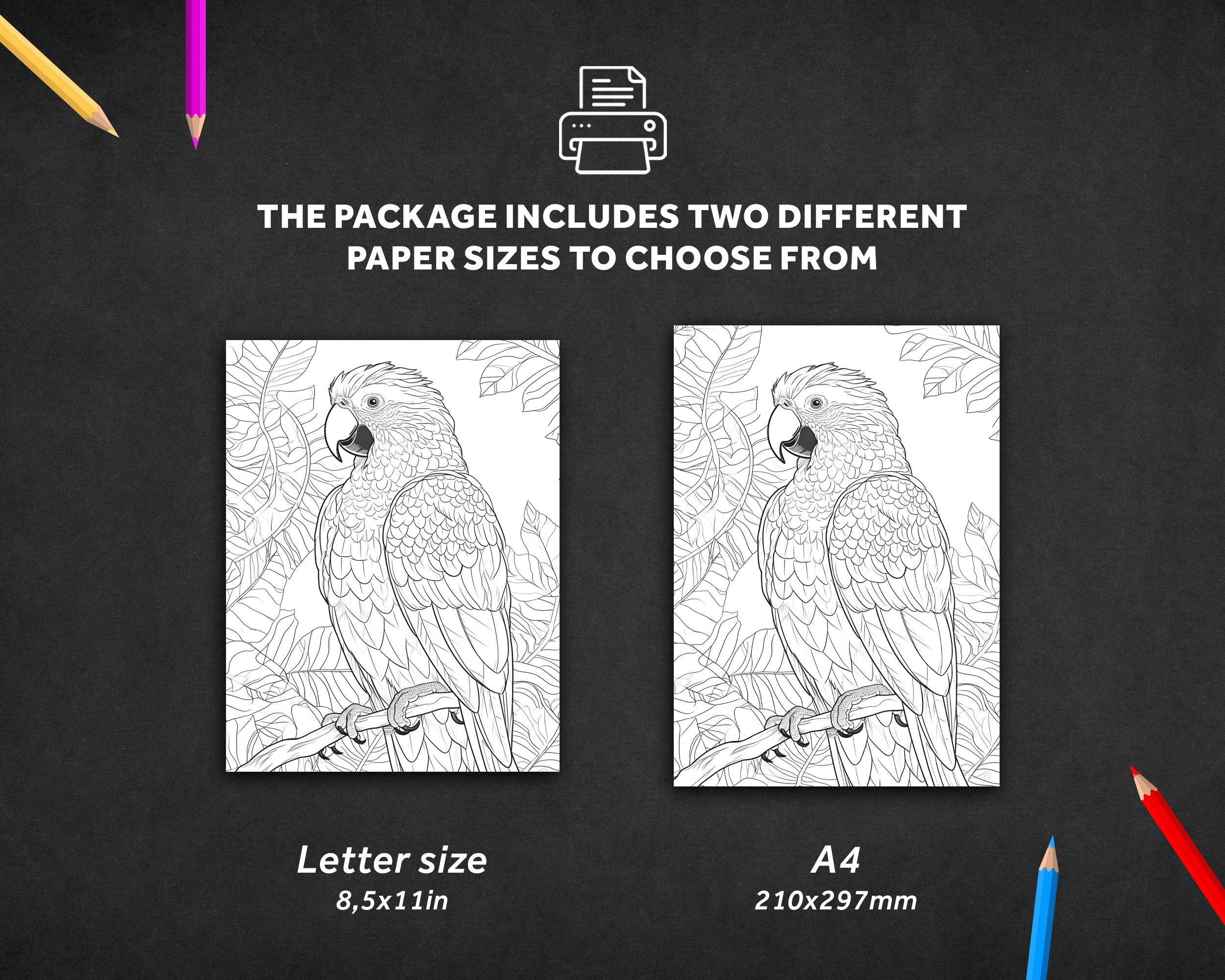 25 Coloring Pages Parrots, Printable Coloring Book, Vibrant Birds ...