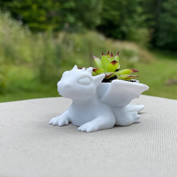 Dragon Planter Pot - Etsy