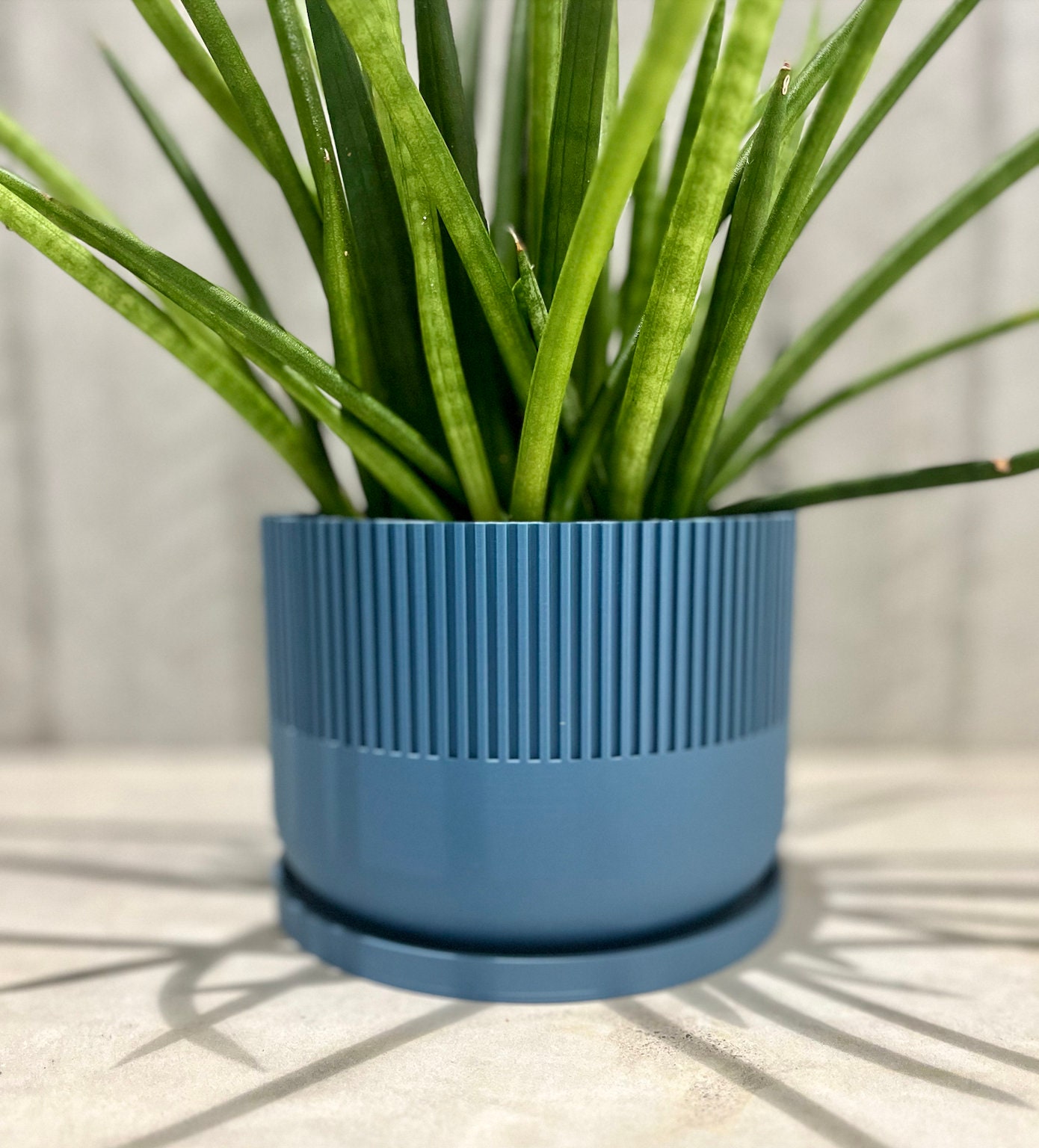 Modern Minimalist 3D Printed Plant Pot With Drainage & Saucer choose ...