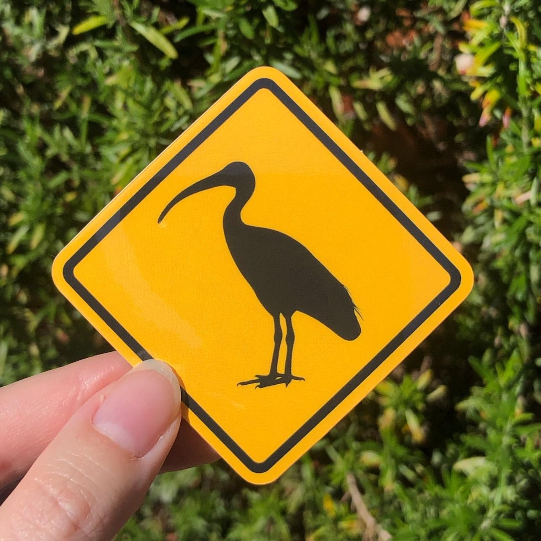Bin Chicken Road Sign Sticker for Australian Ibis Bird Lovers - Etsy