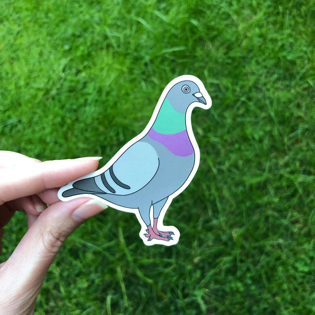 Metallic Pigeon Sticker Rock Dove Vinyl Sticker Bird Laptop Decal ...