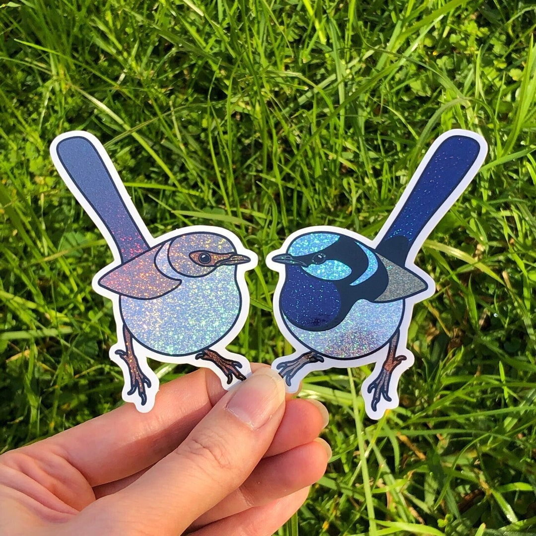Glitter Superb Fairy Wren Sticker for Australian Bird Lovers - Etsy
