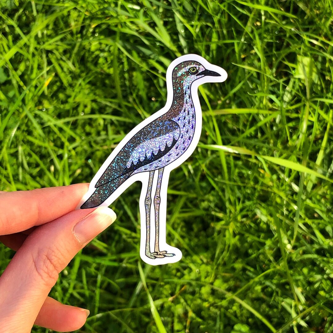 Glitter Bush Stone Curlew Sticker for Australian Bird Lovers and Stilt ...