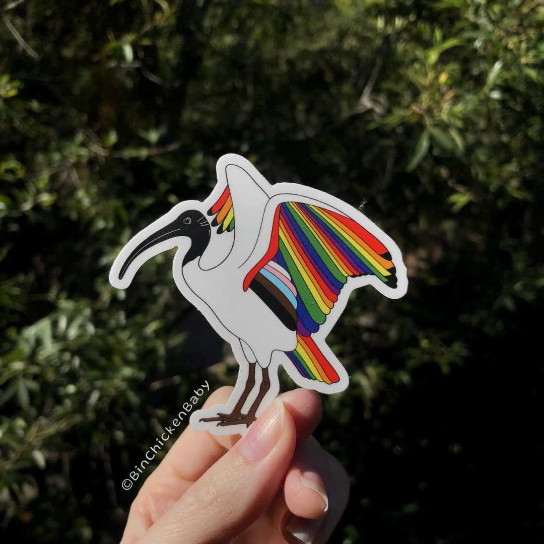 Progress Pride Bin Chicken Sticker LBGTQIA Ibis Sticker Rainbow ...