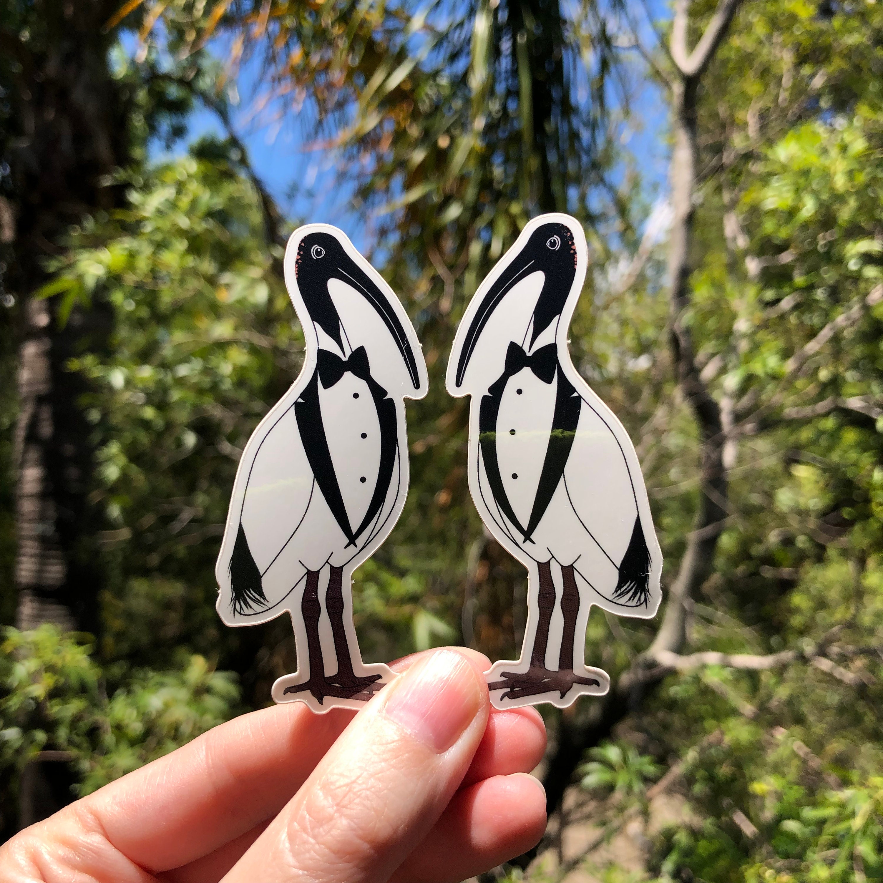 Tuxedo Bin Chicken Sticker Australian Ibis Sticker Ibis Laptop Decal ...