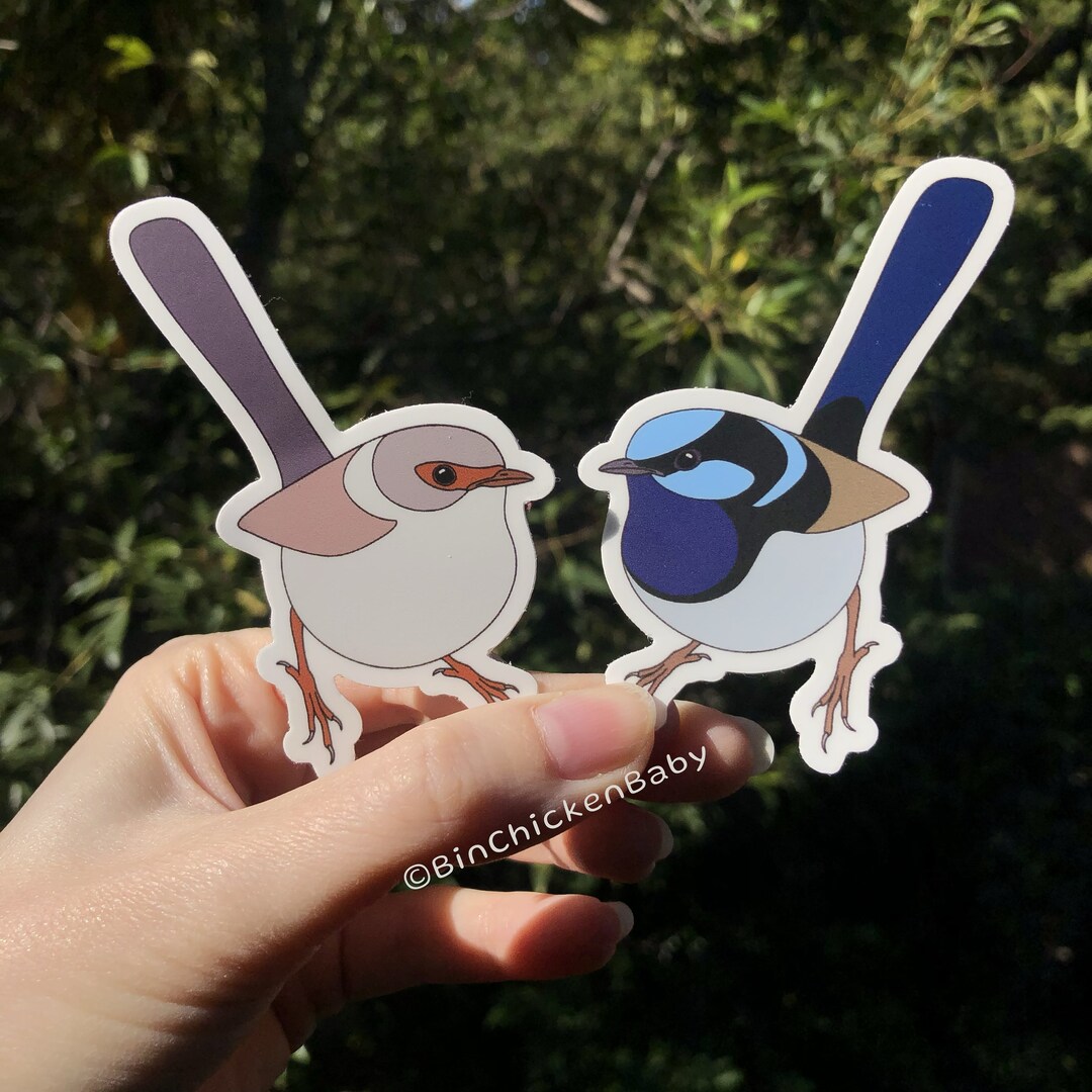 Superb Fairy Wren Sticker | Blue Fairy Wren Matt Vinyl Stickers ...