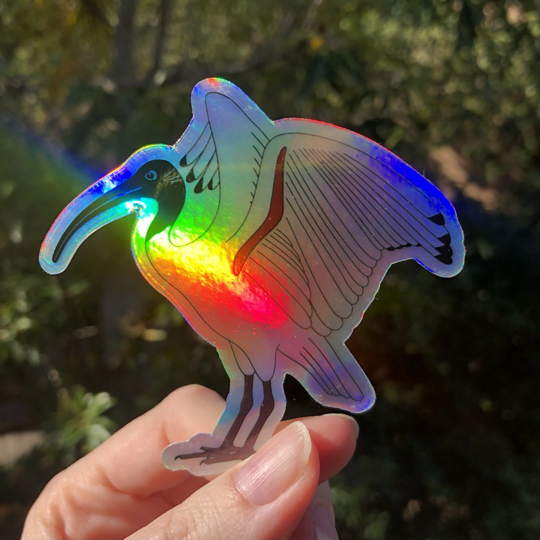 Holographic Bin Chicken Sticker – Rainbow Holo Ibis Sticker ...