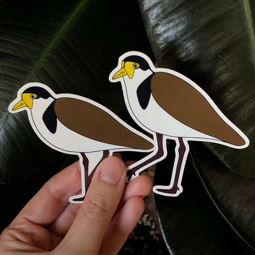 Masked Lapwing Sticker | Australian Plover Bird Vinyl Decal - Etsy ...