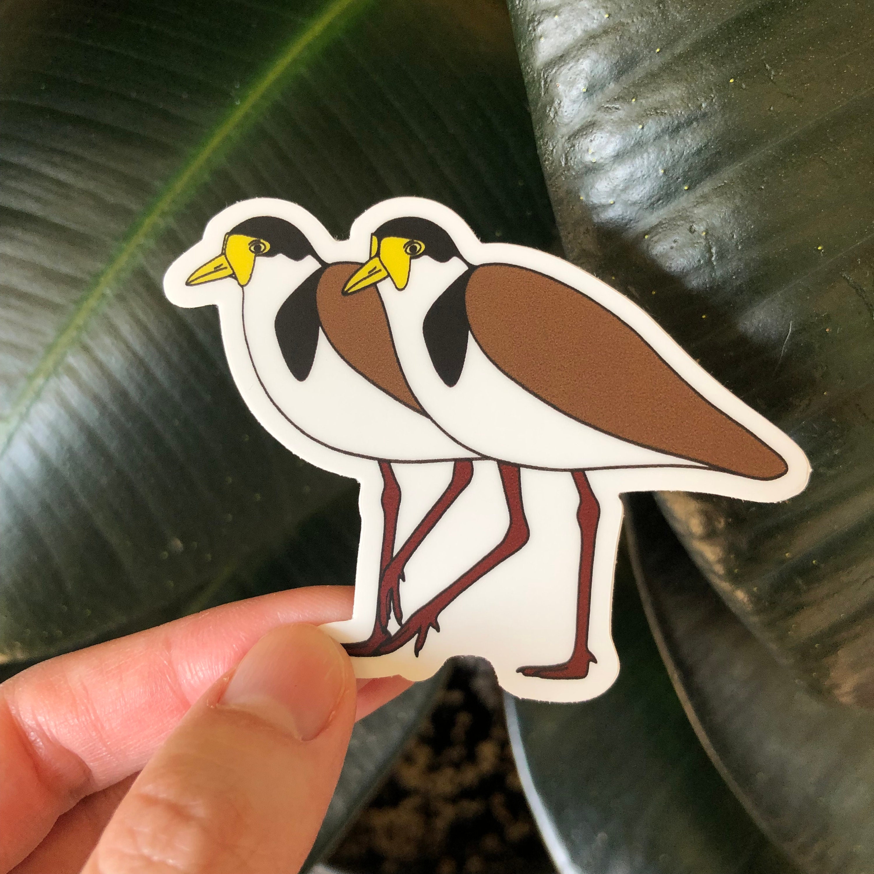 Masked Lapwing Sticker | Australian Plover Bird Vinyl Decal - Etsy ...