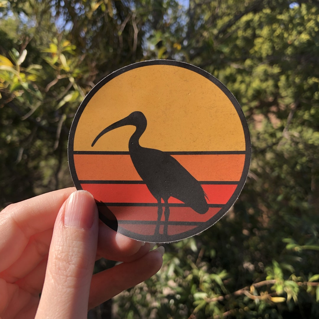 Retro Vintage Sunset Bin Chicken Sticker Australian White Ibis ...