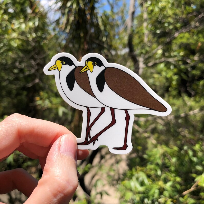 Masked Lapwing Sticker | Australian Plover Bird Vinyl Decal - Etsy ...