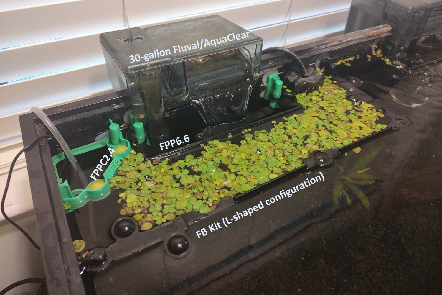 Aquarium Floating Plant Barrier fishnacks FB Customizable Kit, Corral ...