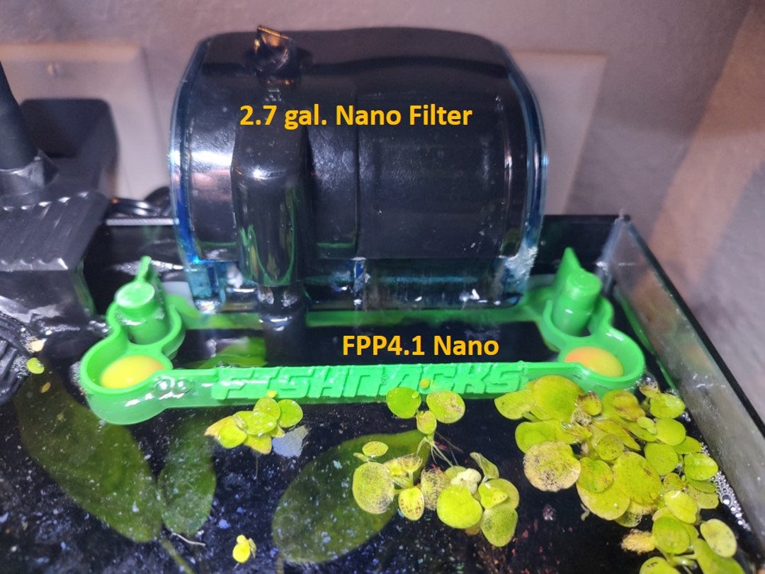 Aquarium- Nano Fish Tank COMBO- Fish- Betta Leaf Lounge (LL) and ...