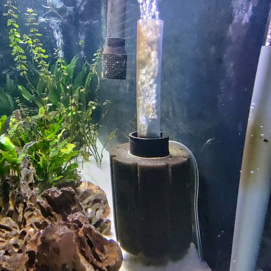 Aquarium Sponge Filter Cap: High Flow, Dual Airline Routing - Etsy