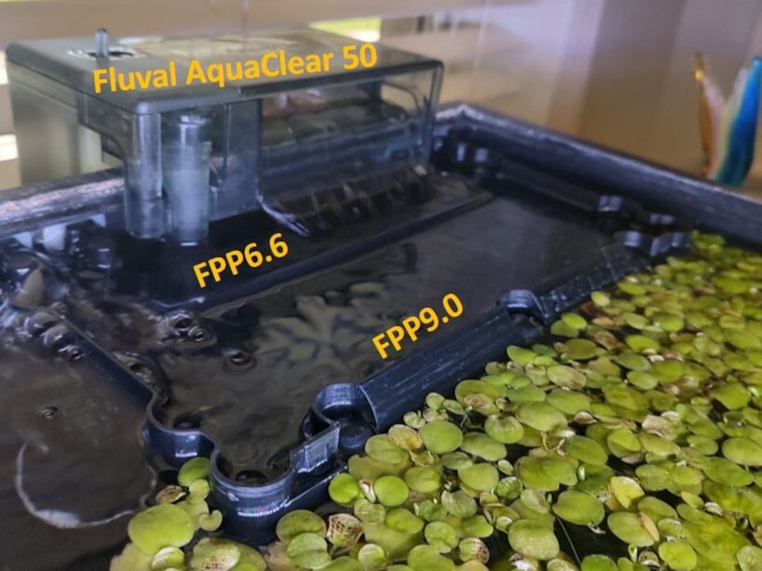 Aquarium Floating Plant Protector (fishnacks FPP), Barrier, Corral ...