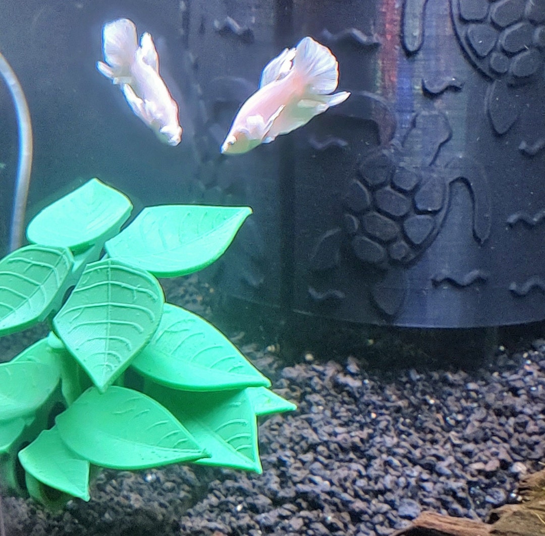 Aquarium Fish-betta Leaf Lounge (fishnacks LL) - Magnetically or ...