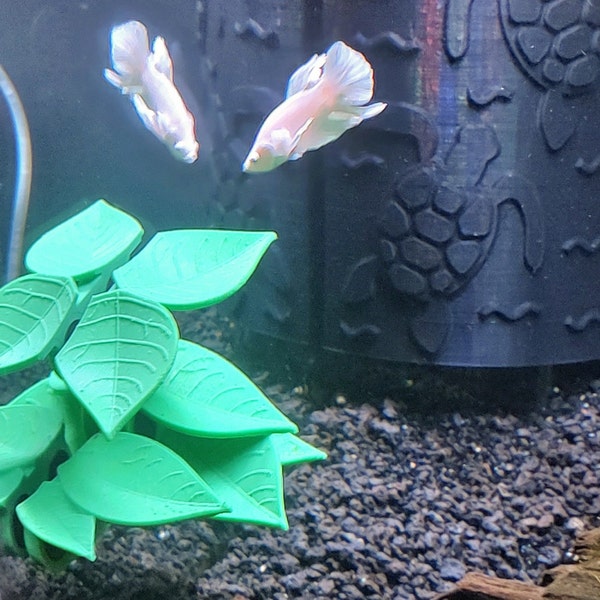 Fake Betta Fish Tank - Etsy
