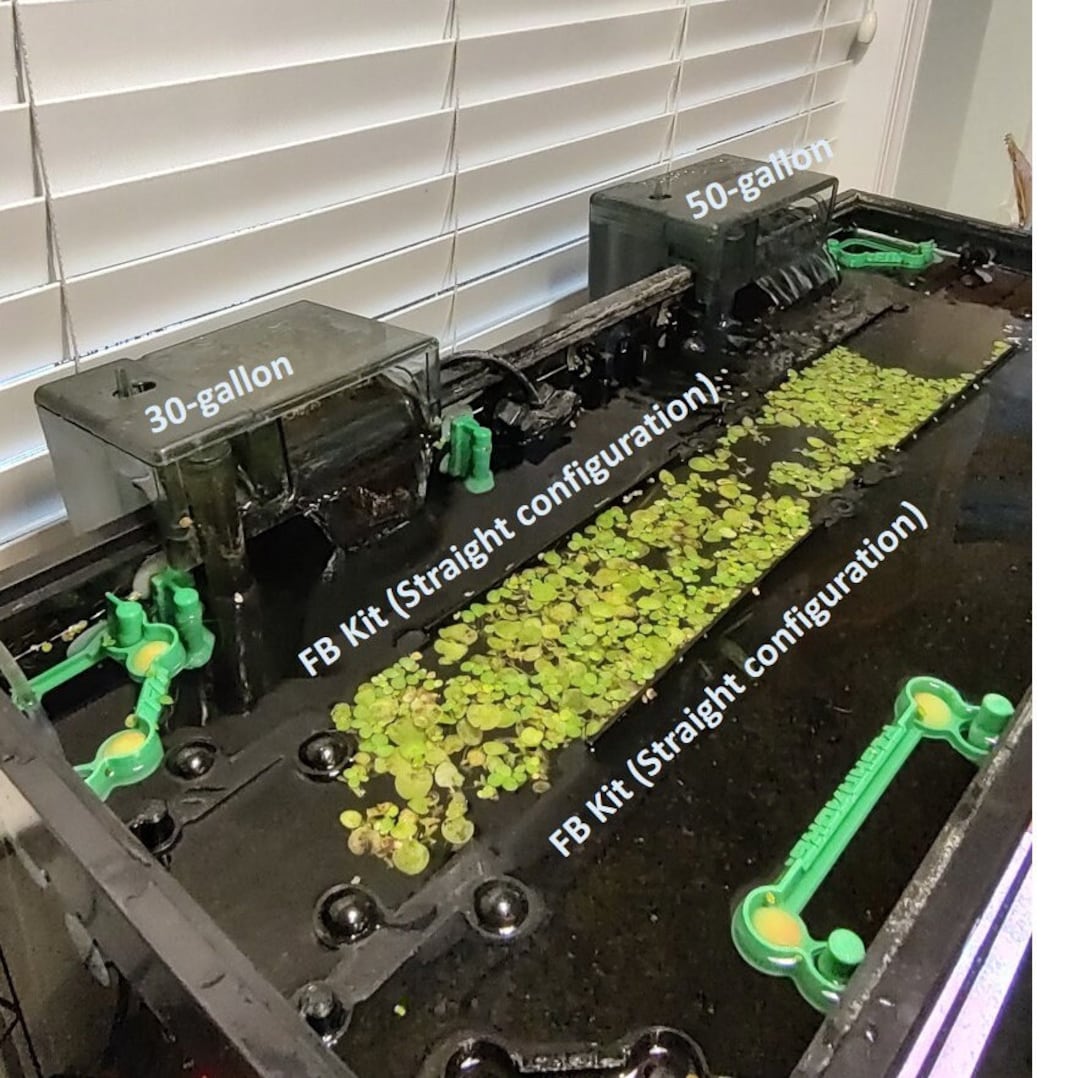Aquarium Floating Plant Barrier (fishnacks FB) Customizable Kit, Corral ...