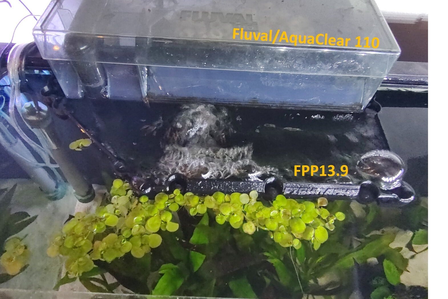 Aquarium Floating Plant Protector fishnacks FPP COMBO - Etsy