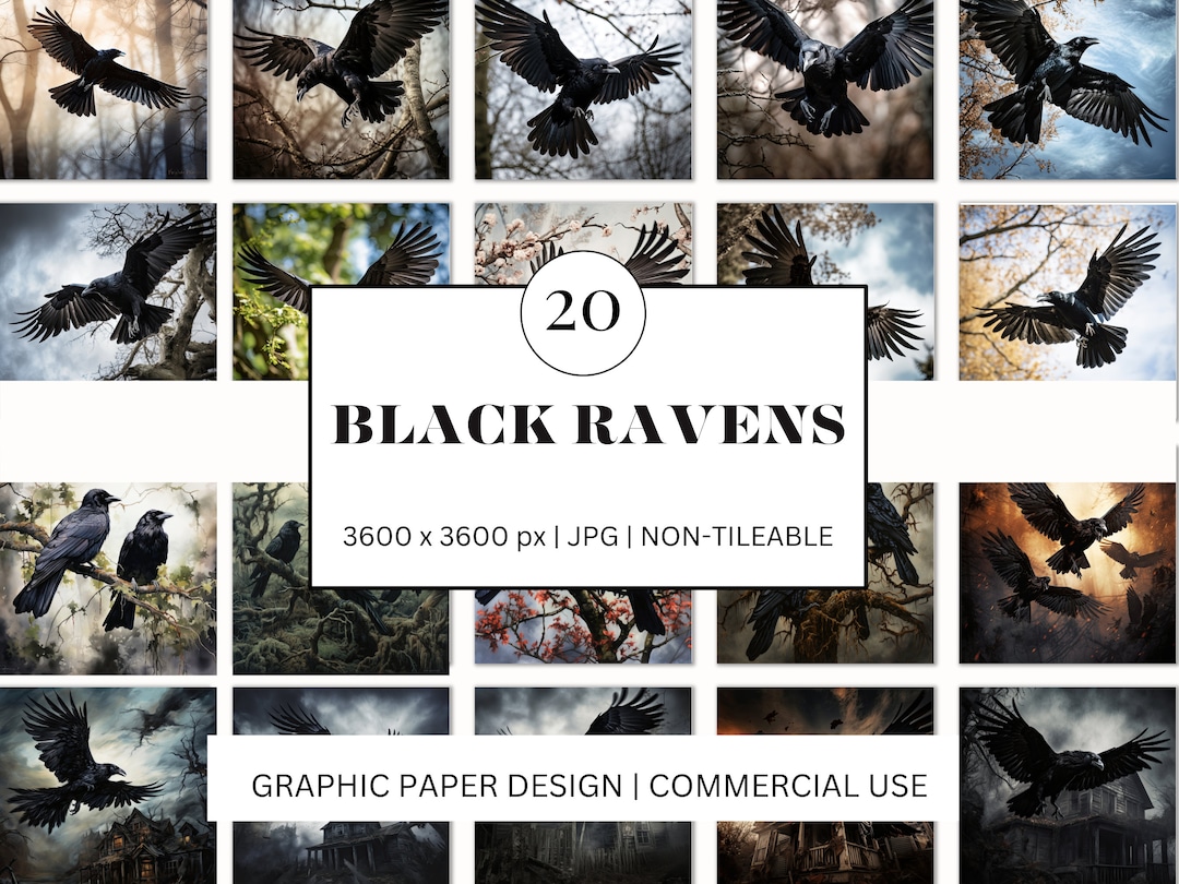 Black Raven Digital Paper Pack: Scrapbook Craft Backgrounds (JPG ...