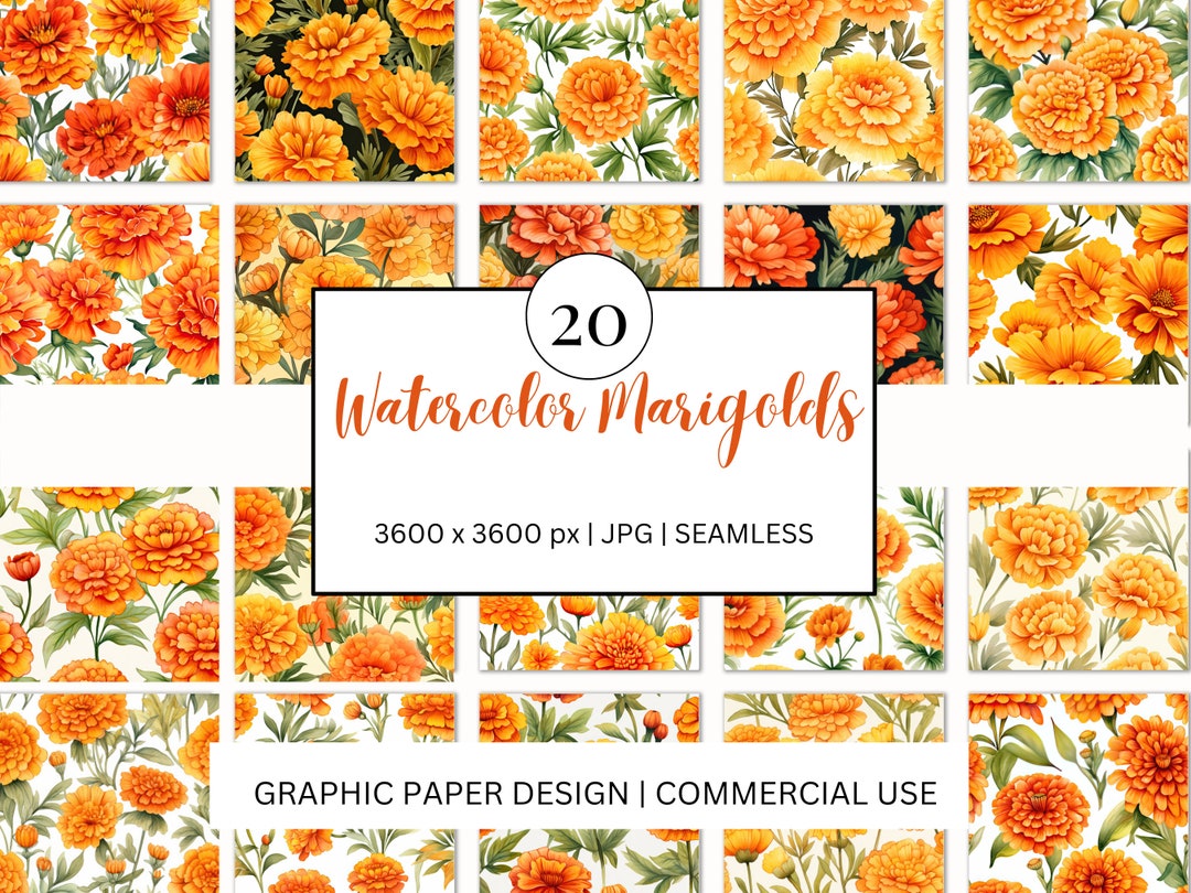 SEAMLESS Digital Paper - Watercolor Marigolds - 20 Designs - - Print on ...