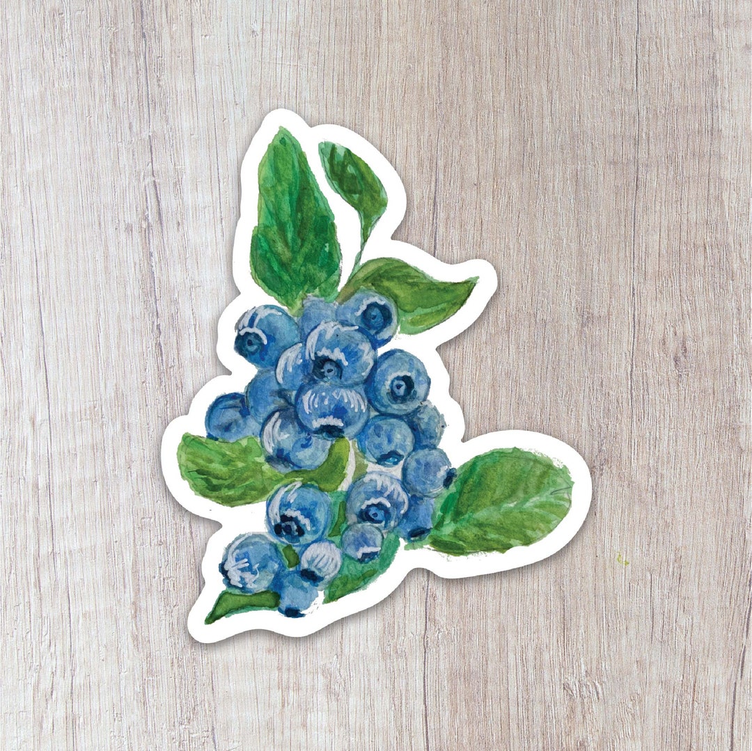 Blueberries Vinyl Sticker - Etsy