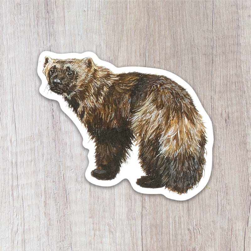 Wolverine Animal Art - Etsy