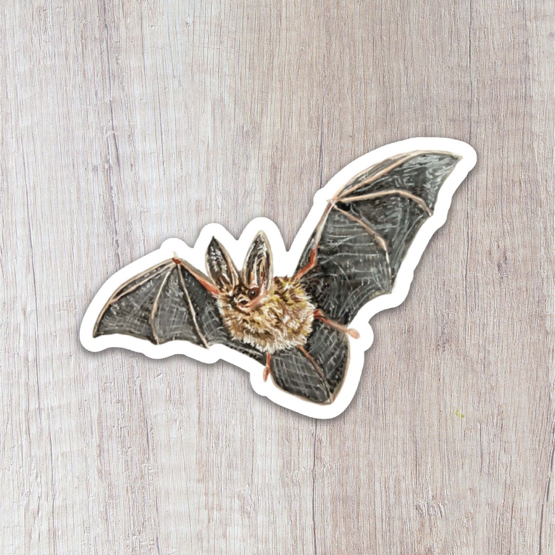 Bat Vinyl Sticker - Etsy