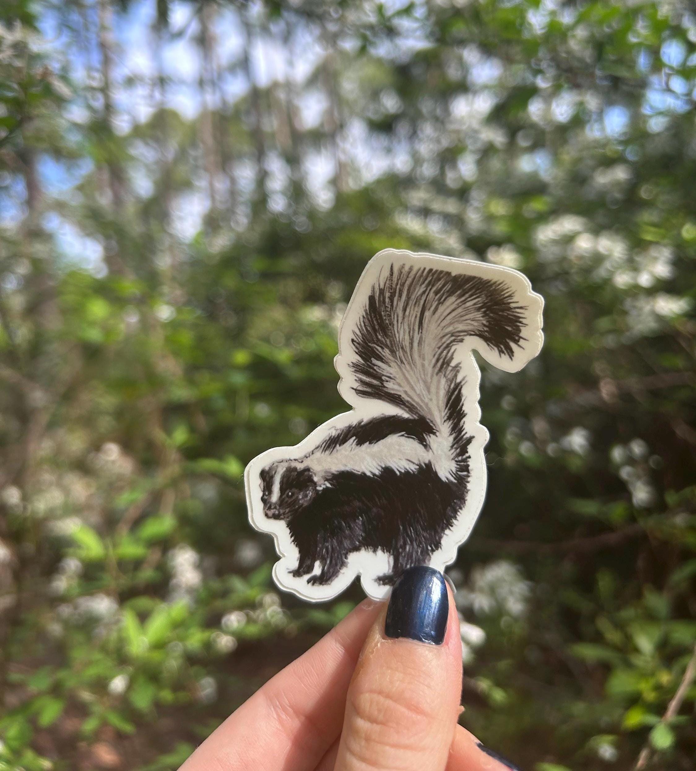 Striped Skunk Vinyl Sticker - Etsy