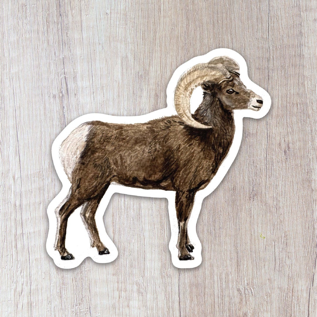 Bighorn Sheep Vinyl Sticker - Etsy