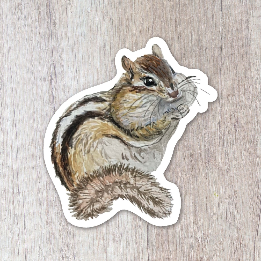Chipmunk Vinyl Sticker - Etsy