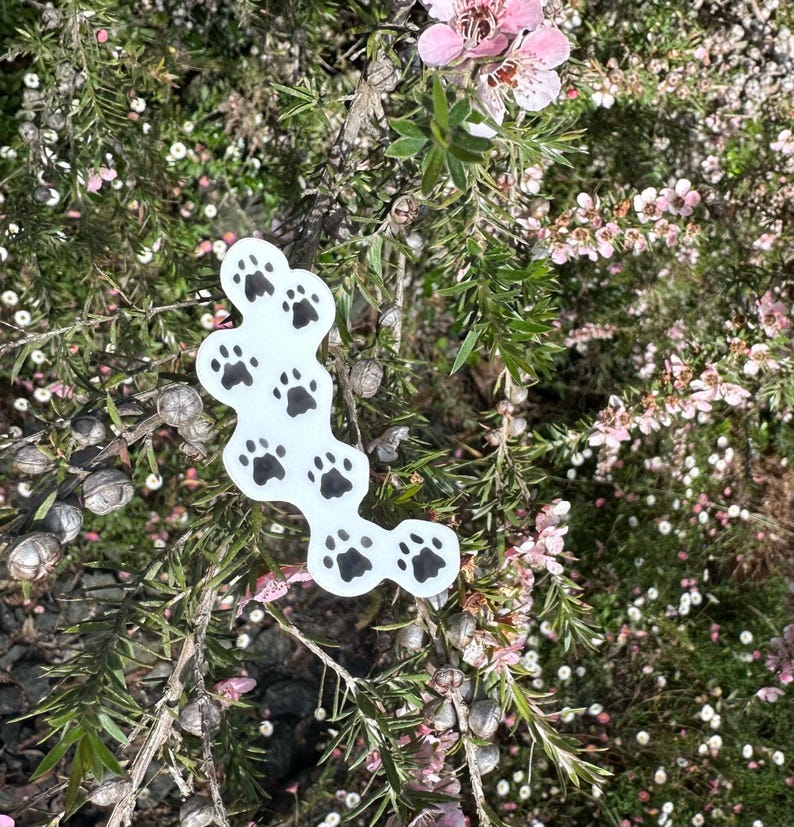 Paw Prints / Animal Tracks Vinyl Sticker - Etsy