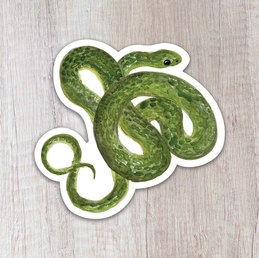 Green Snake Vinyl Sticker - Etsy