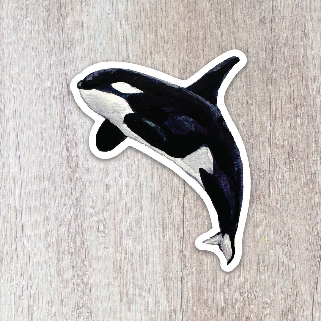 Orca Vinyl Sticker - Etsy