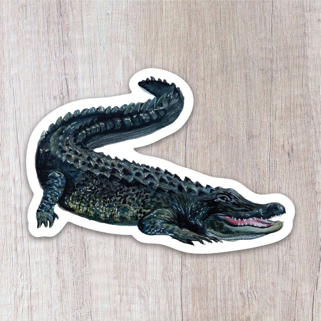 Alligator Vinyl Sticker - Etsy