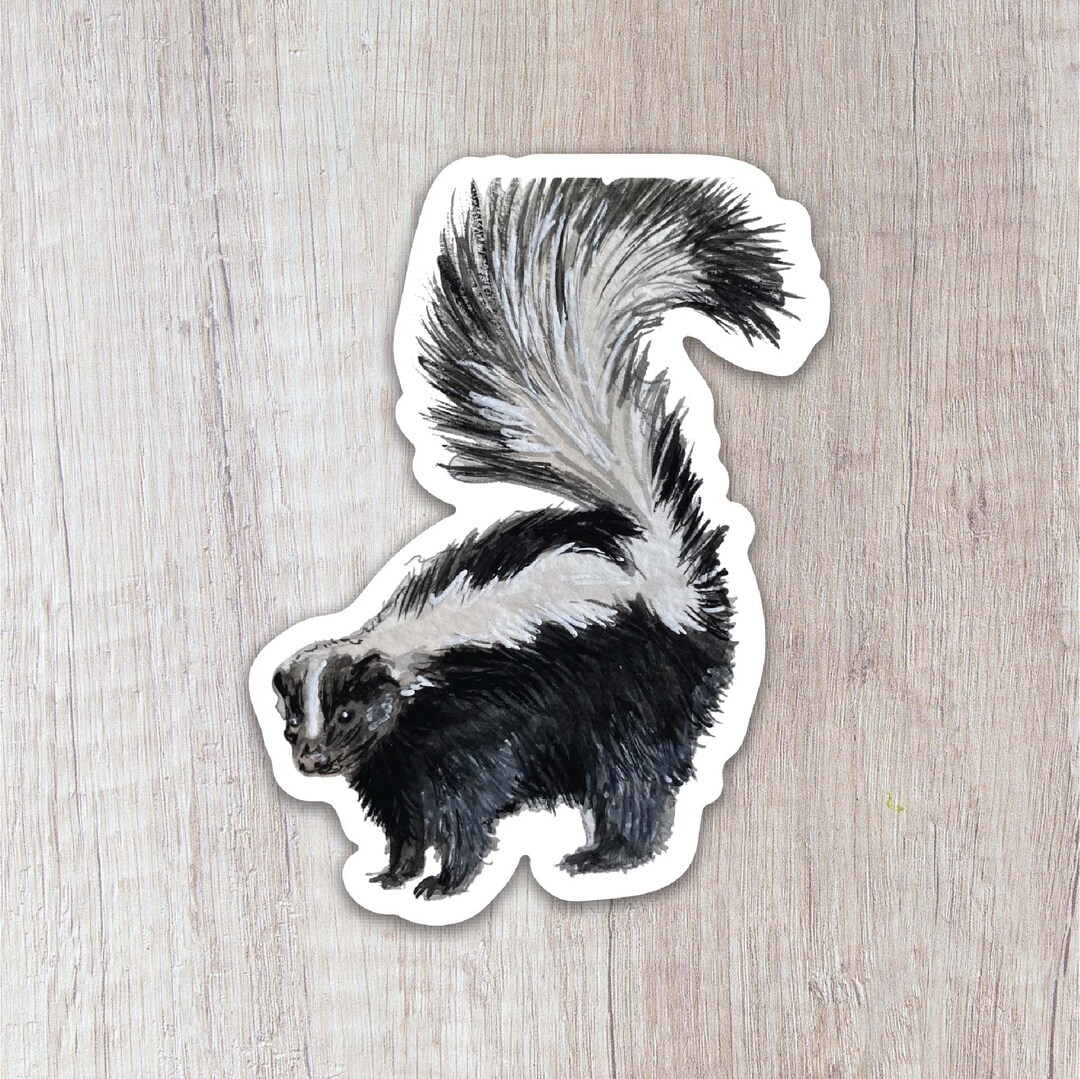 Striped Skunk Vinyl Sticker - Etsy