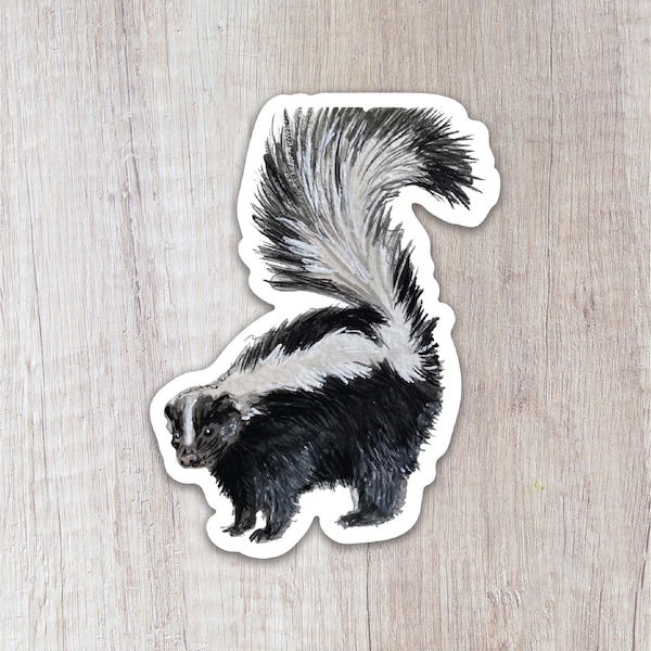 Skunk Sticker - Etsy