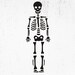 Skeleton SVG, Skeleton Parts Svg, Skeleton Png, Skeleton Cut File ...