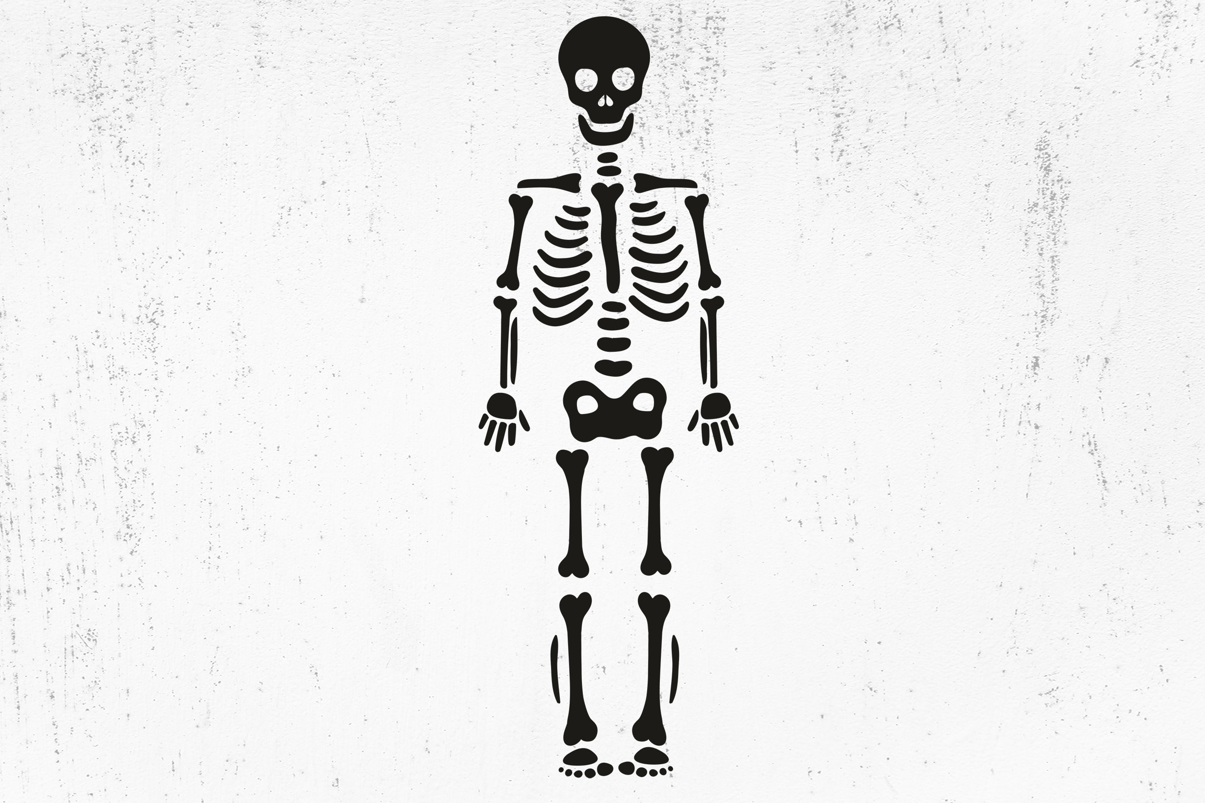 Skeleton SVG, Skeleton Parts Svg, Skeleton Png, Skeleton Cut File ...