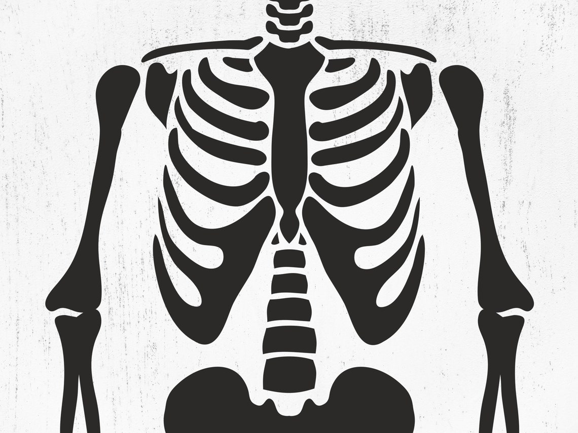 Skeleton SVG, Skeleton Parts Svg, Skeleton Png, Skeleton Cut File ...