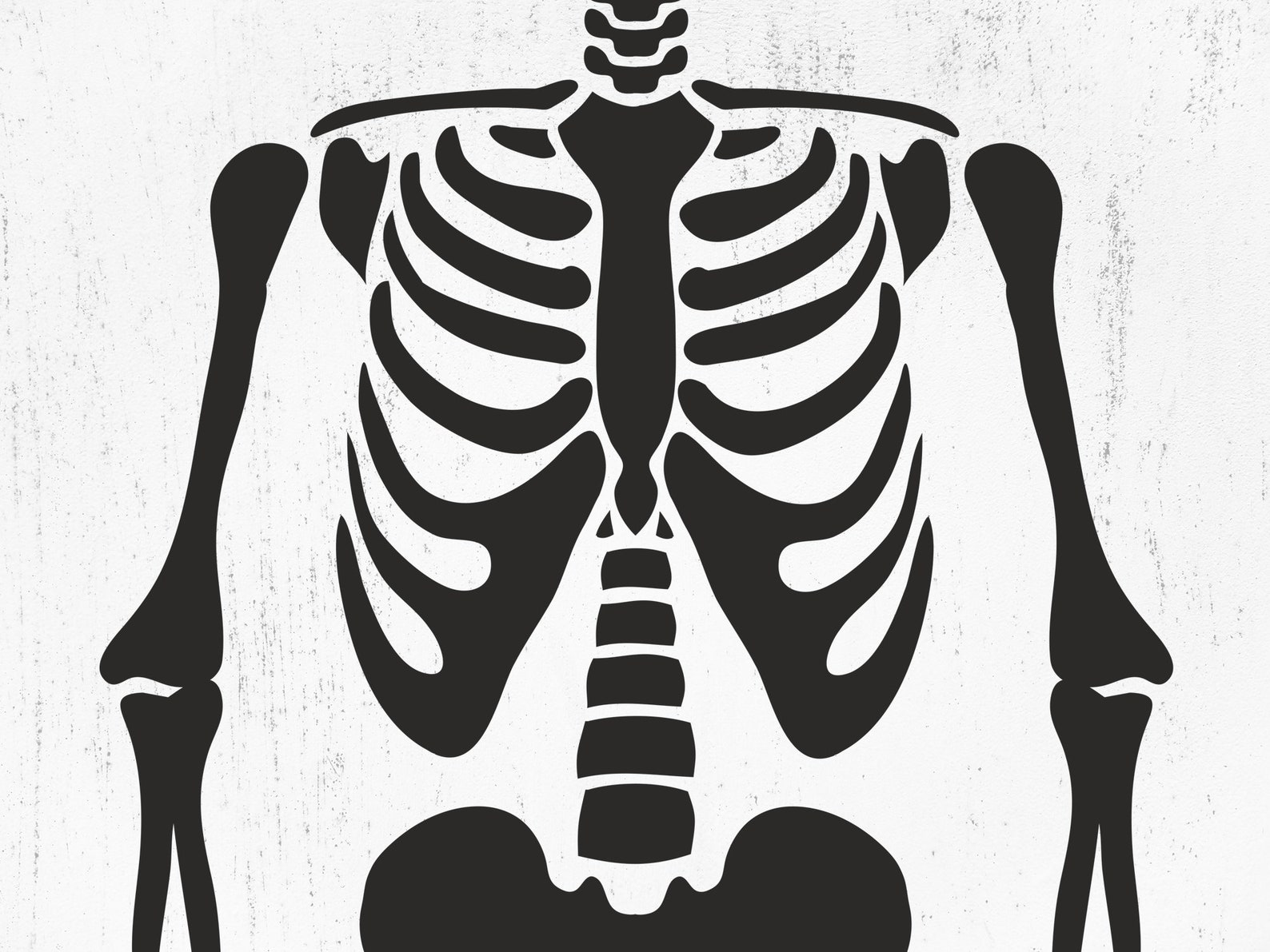 Skeleton SVG, Skeleton Parts Svg, Skeleton Png, Skeleton Cut File ...