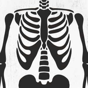 Skeleton SVG, Skeleton Parts Svg, Skeleton Png, Skeleton Cut File ...