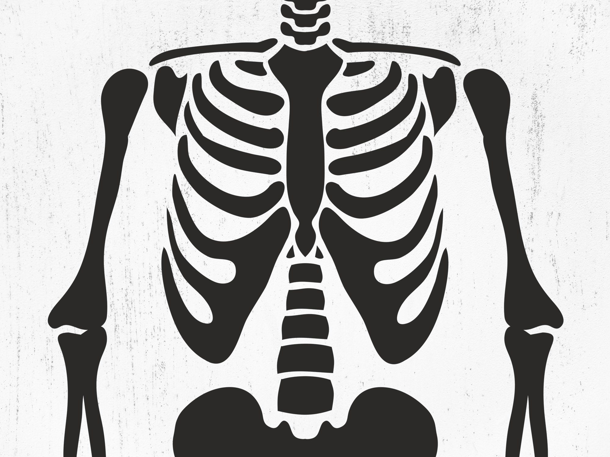Skeleton SVG, Skeleton Parts Svg, Skeleton Png, Skeleton Cut File ...